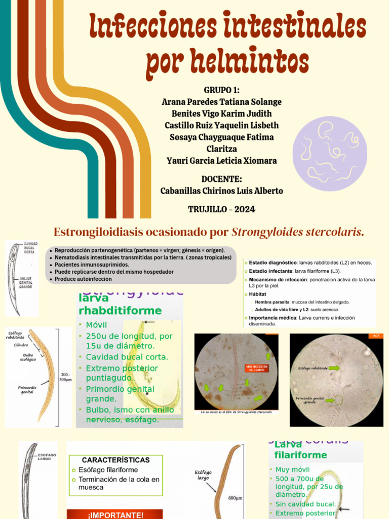 Taller 9 Micro | PDF | Enfermedades y trastornos | Medicina CLINICA