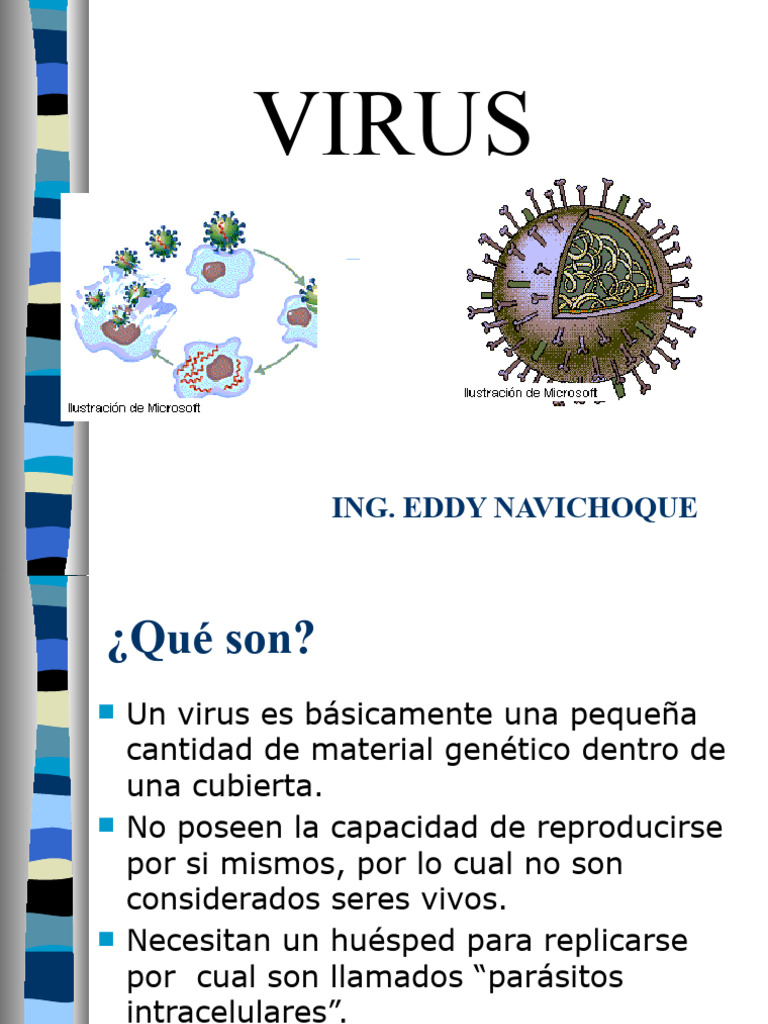 6ta CLASE VIRUS | PDF | Virus | Las bacterias