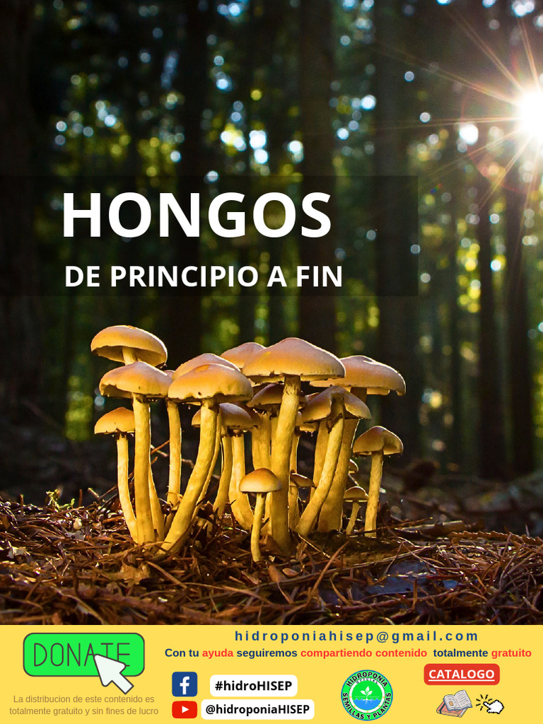 114 Hongos de Principio A Fin | PDF | Hongo | Seta