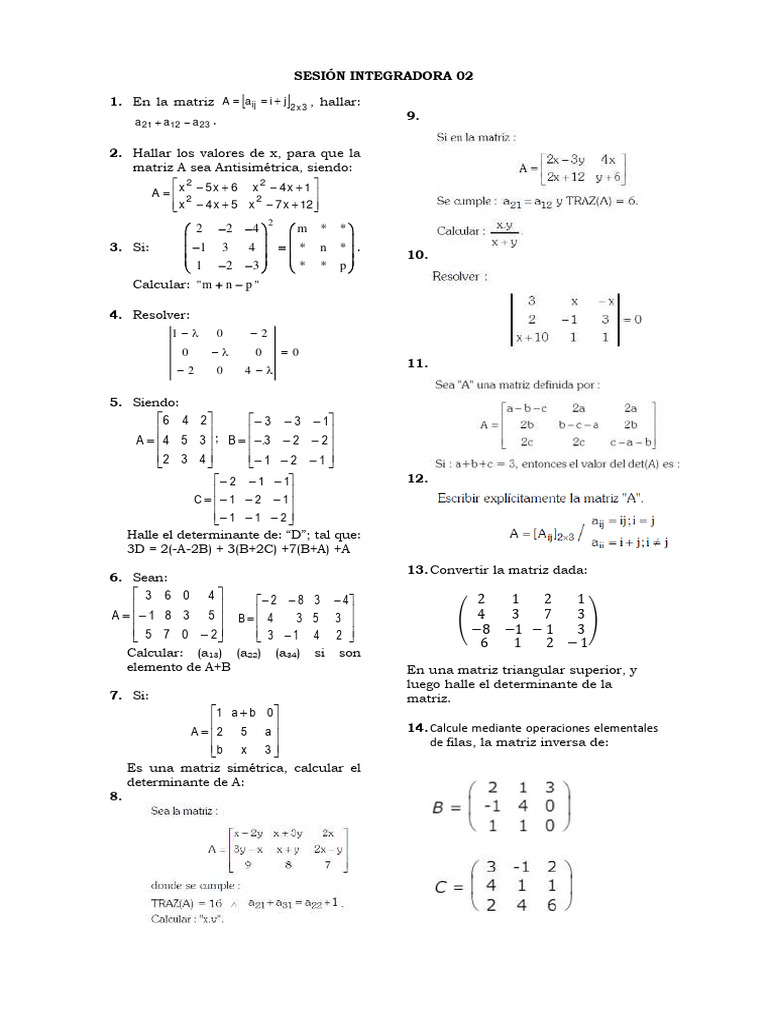 Sesion Integradora 02 | PDF | Determinante | Matriz (Matemáticas)