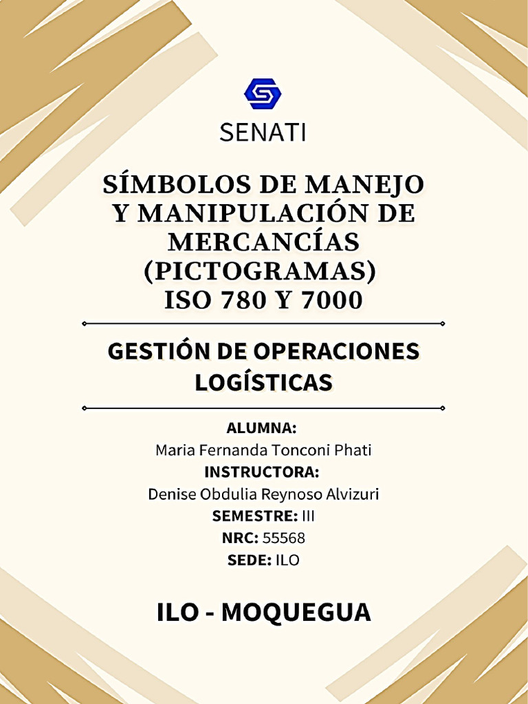 Borra Dor | PDF | Logística | Business