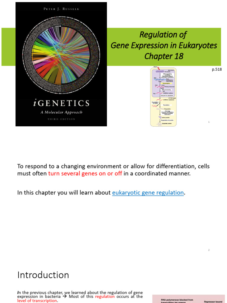 Chapter_18_Regulation_of_Gene_expression_in_Eukaryotes_Part_1_PDF ...