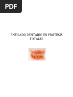 Cíngulo Dental: Revisión y Funciones | PDF | Boca | Odontología