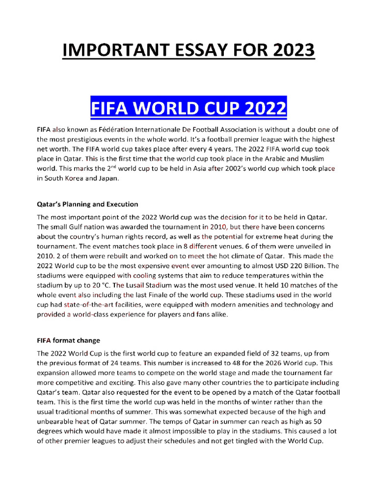 Fifa World Cup 2022 Essay | PDF