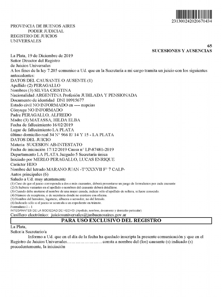 ConsultaRJU - PERAGALLO - SILVIA CRISTINA - 10915677 | PDF
