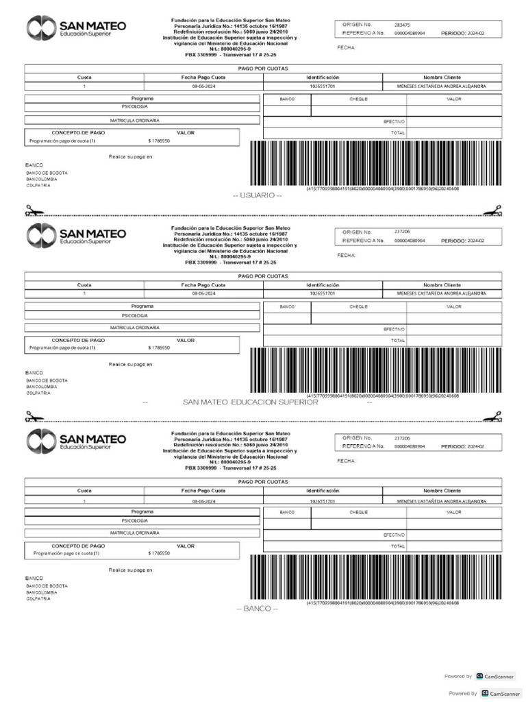 Andrea Alejandra Meneses Casta Eda | PDF
