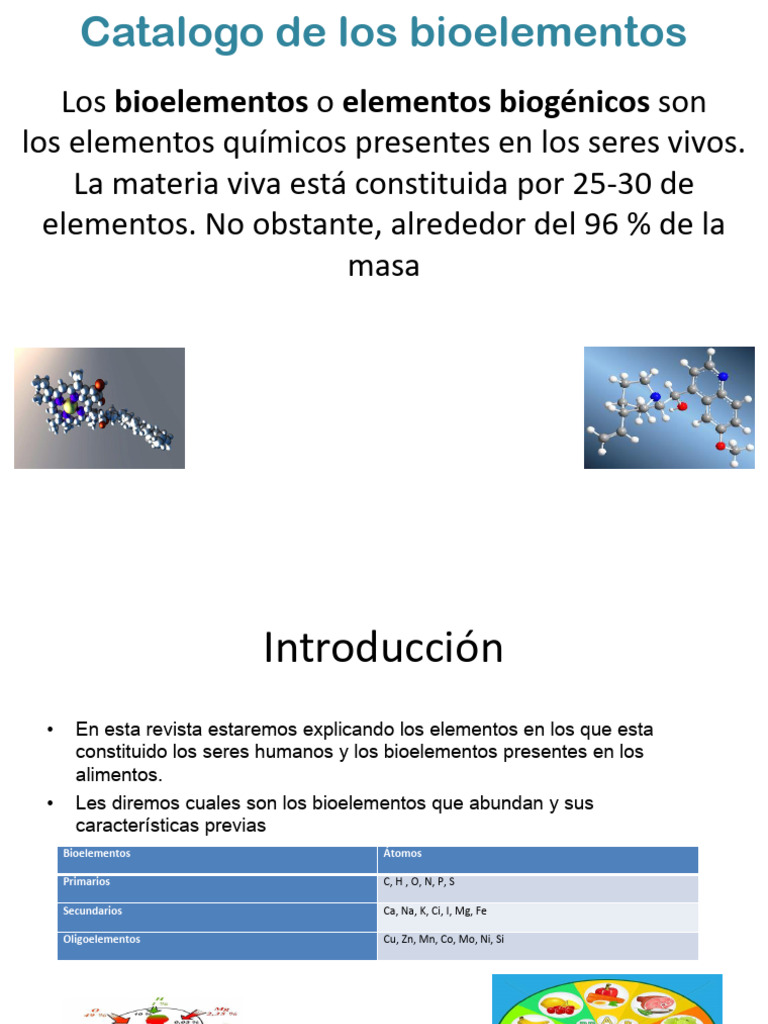 Catalogo de Los Bioelementos | PDF | Alimentos | Cereales
