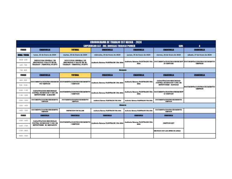 CRONOGRAMA DE ACTIVIDADES 2024 SEM - 04 | PDF