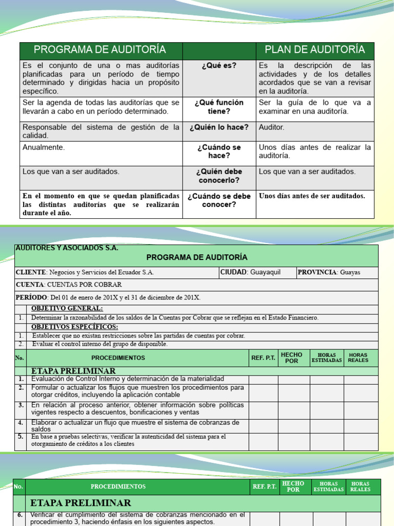 Programa de Auditoria | PDF | Auditoría | Business
