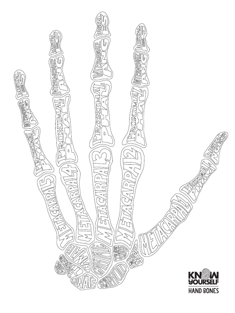 Coloring Hand 1 | PDF