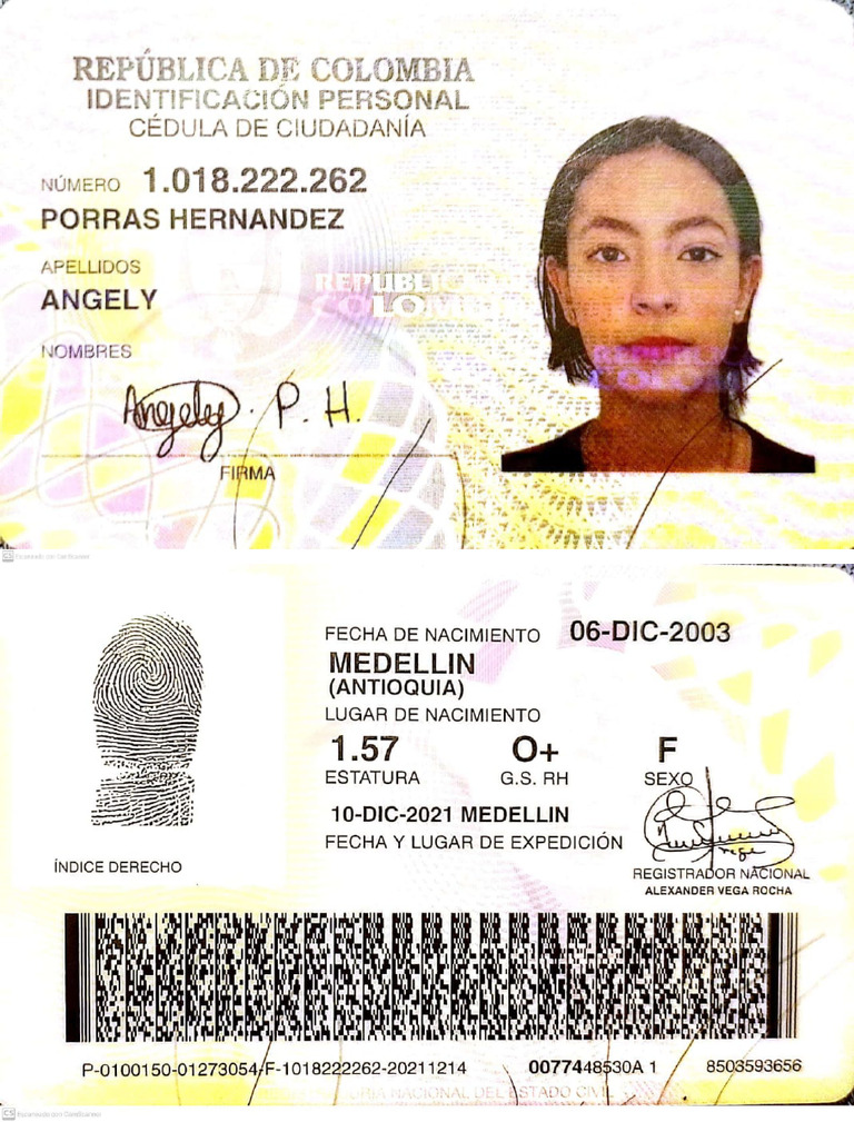 Documento de Identidad | PDF