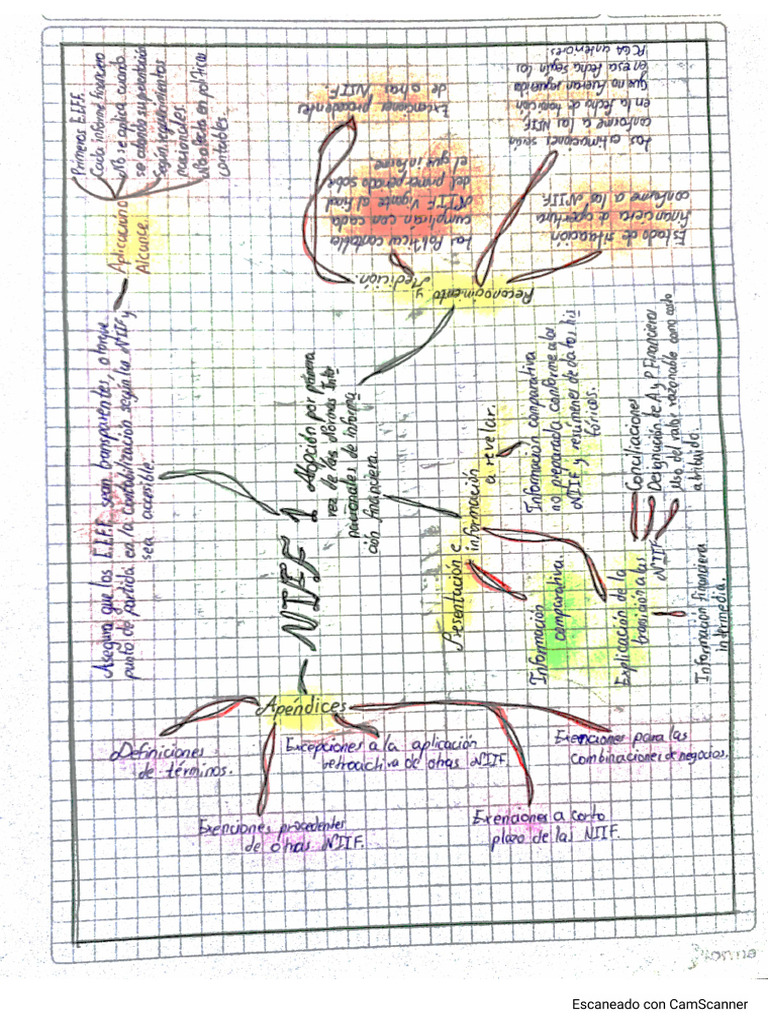 MAPA CONCEPTUAL NIIF 1 Y 3_Anthony Meza_CA2-2_Normatividad Contable | PDF