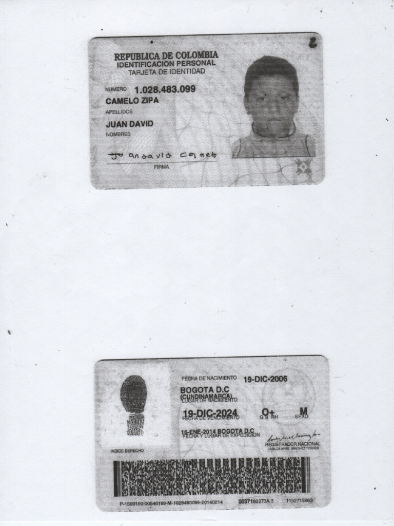 Camelo Zipa Juan David | PDF