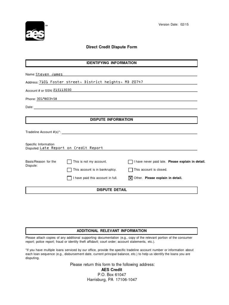 Direct Credit Dispute Form Guide | PDF | Finance & Money Management ...