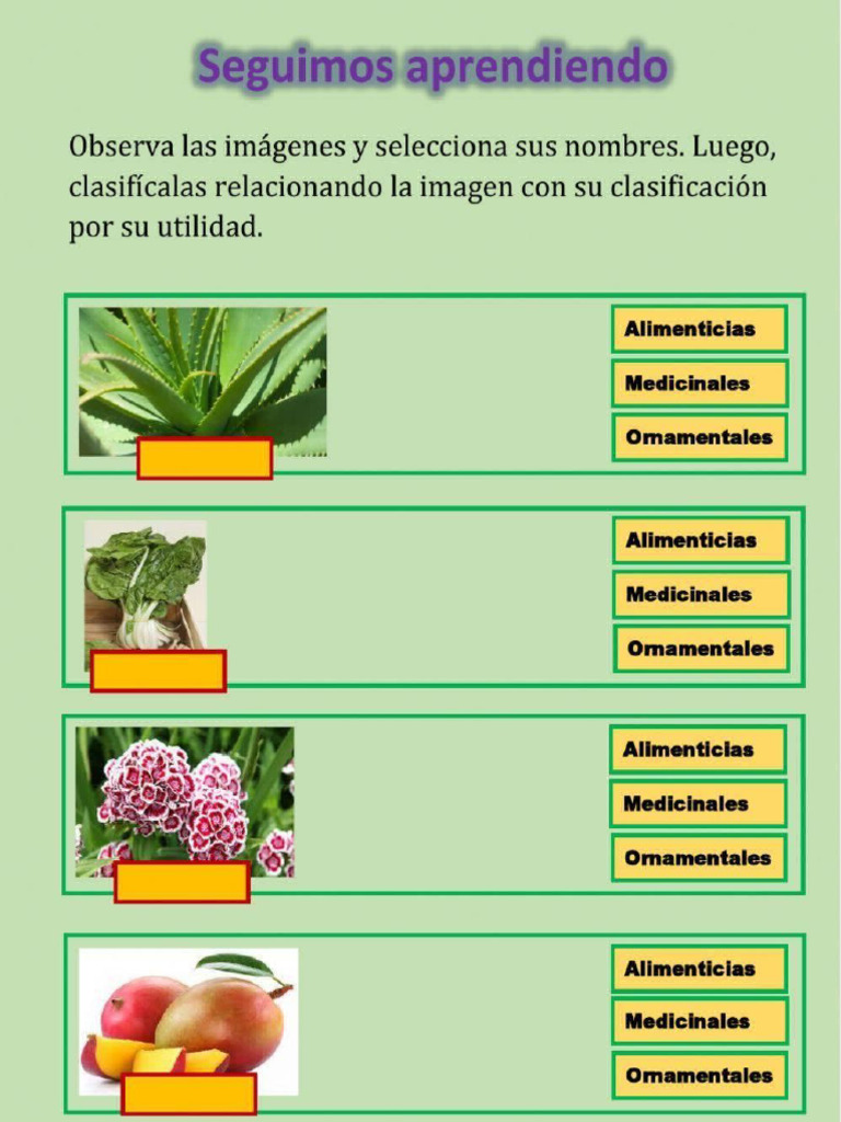 TAREA CLASIFICACION DE PLANTAS | PDF