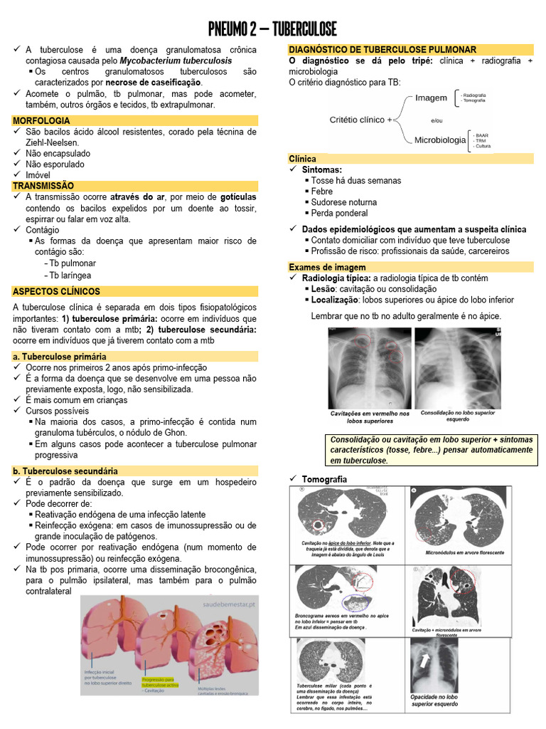 Pneumo 2 - Tuberculose DAVID | PDF | Tuberculose | Medicina Clínica
