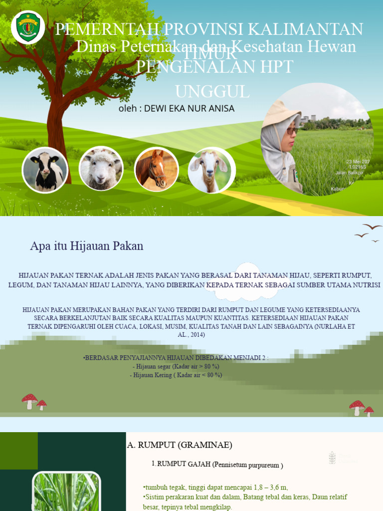 PPT. Pengenalan | PDF