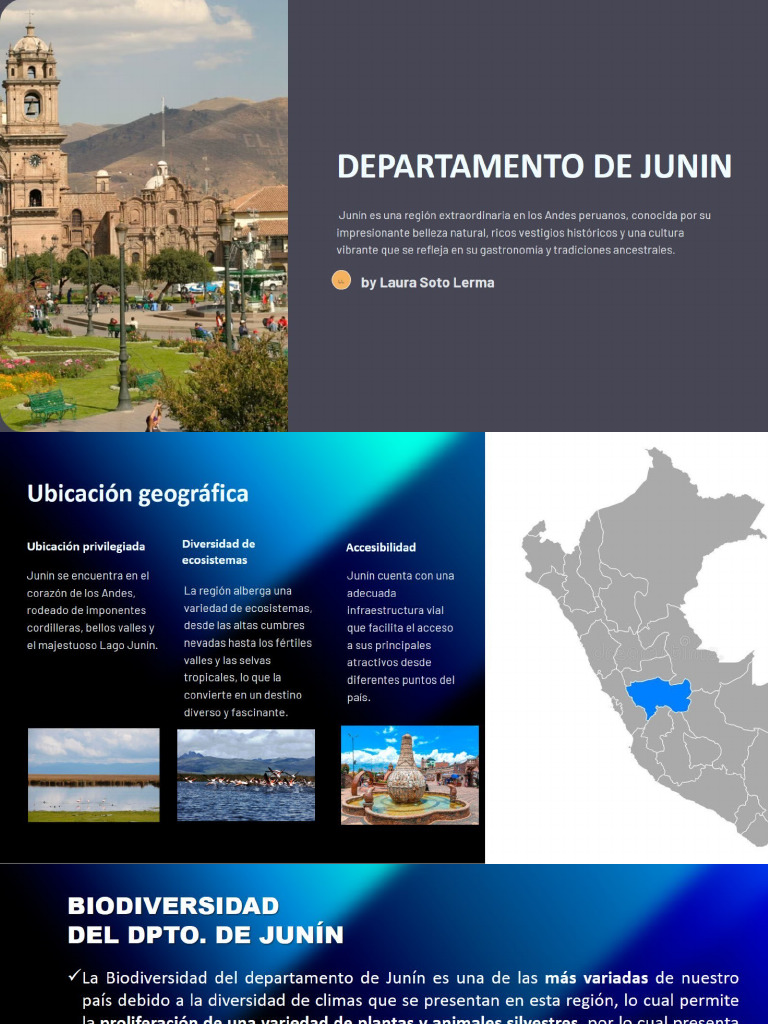 DEPARTAMENTO DE JUNIN | PDF