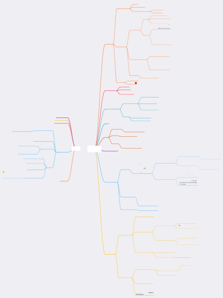 Mapa Mental - 2do Parcial Obstetricia | PDF | El embarazo | Parto