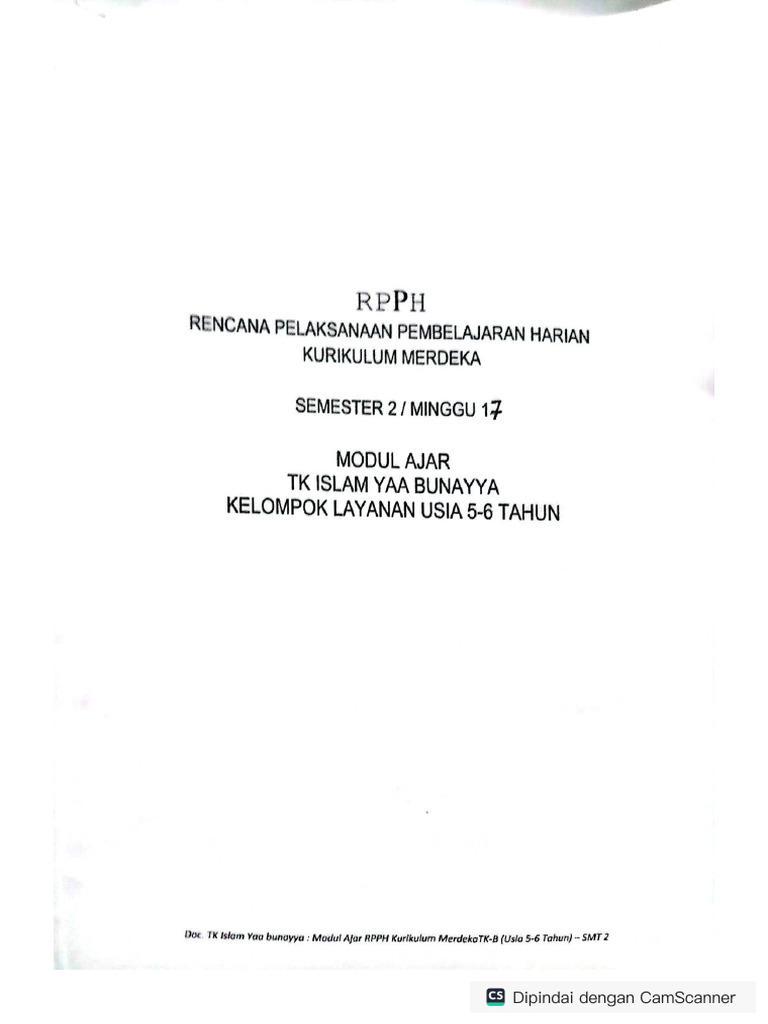 RPPH | PDF