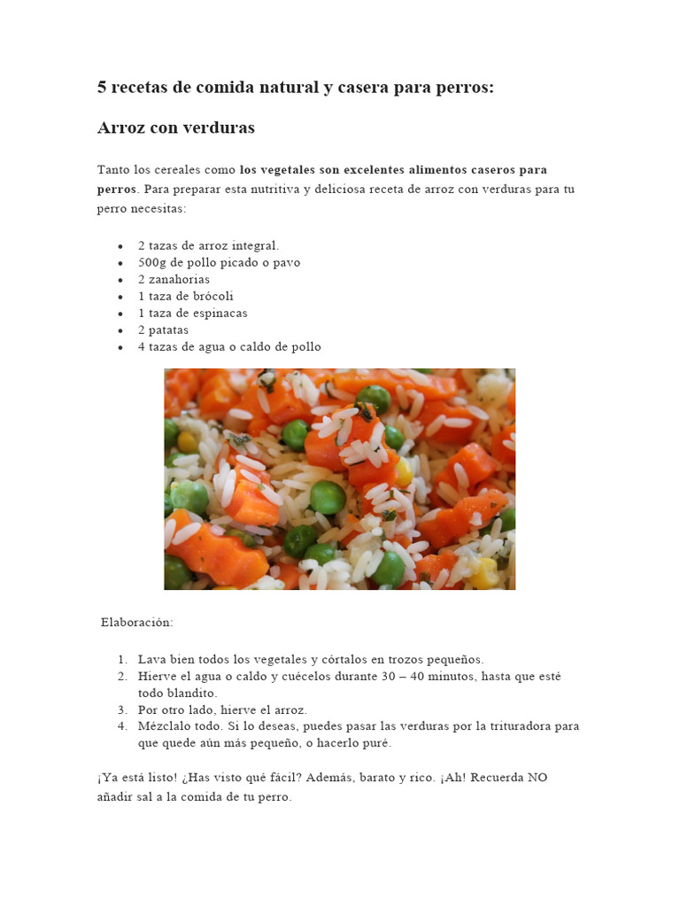 5 Recetas de Comida Natural y Casera para Perros | PDF | Alimentos | Carne