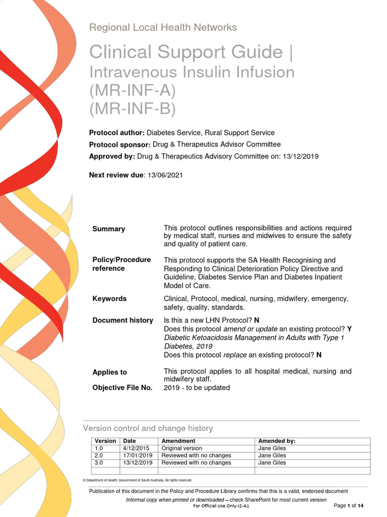 Intravenous Insulin Infusion_Clinical Support Guide_2020 | PDF ...