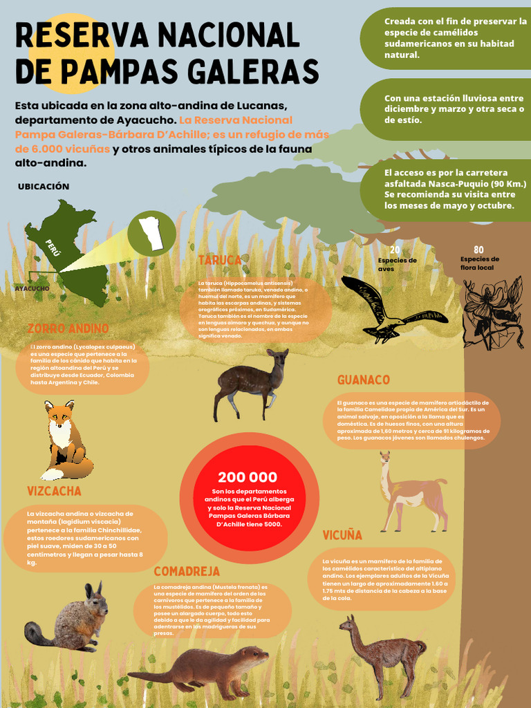 Yellow Illustrative Animal Adaptation Posters - Compressed | PDF | Andes