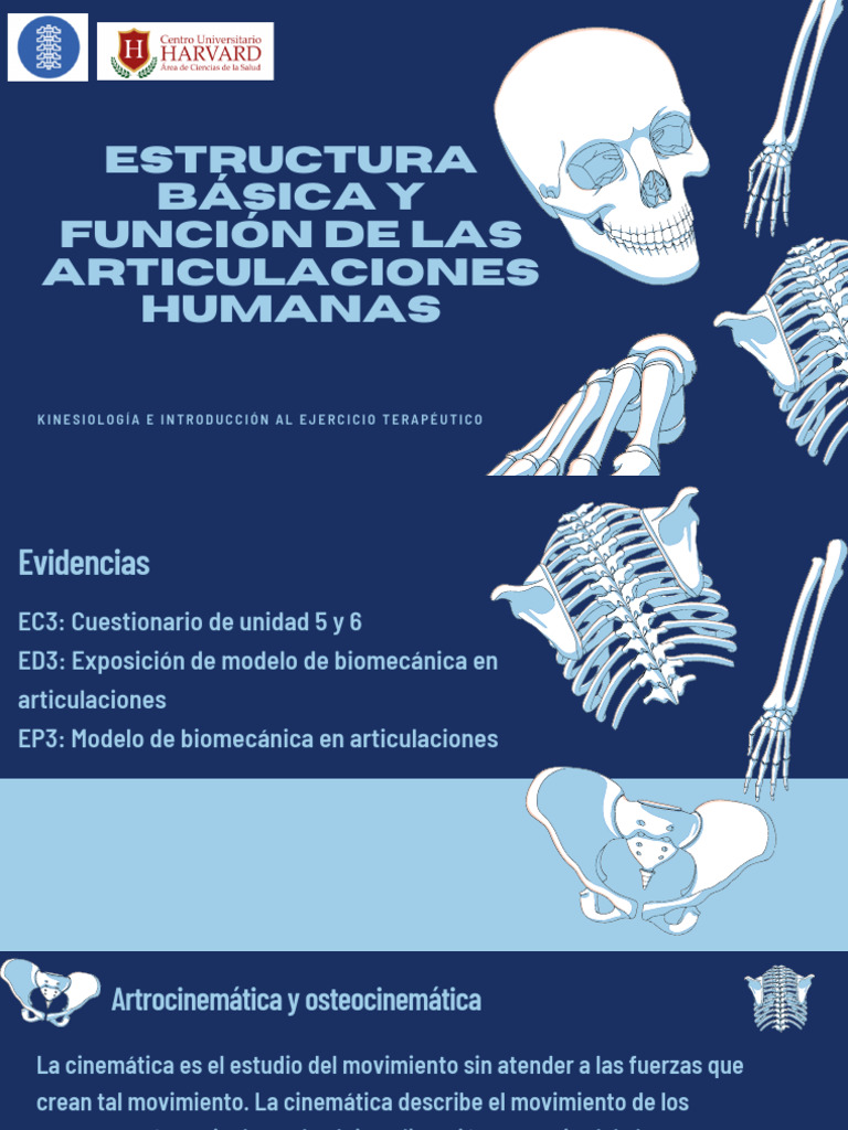 Anatomy Class Descargar Gratis Pdf Hueso Articulación