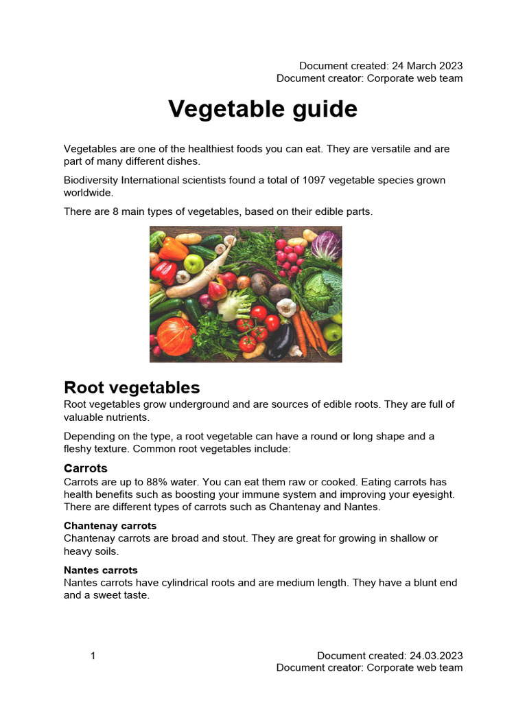 pdf-example-vegetable-guide | PDF | Vegetables | Onion