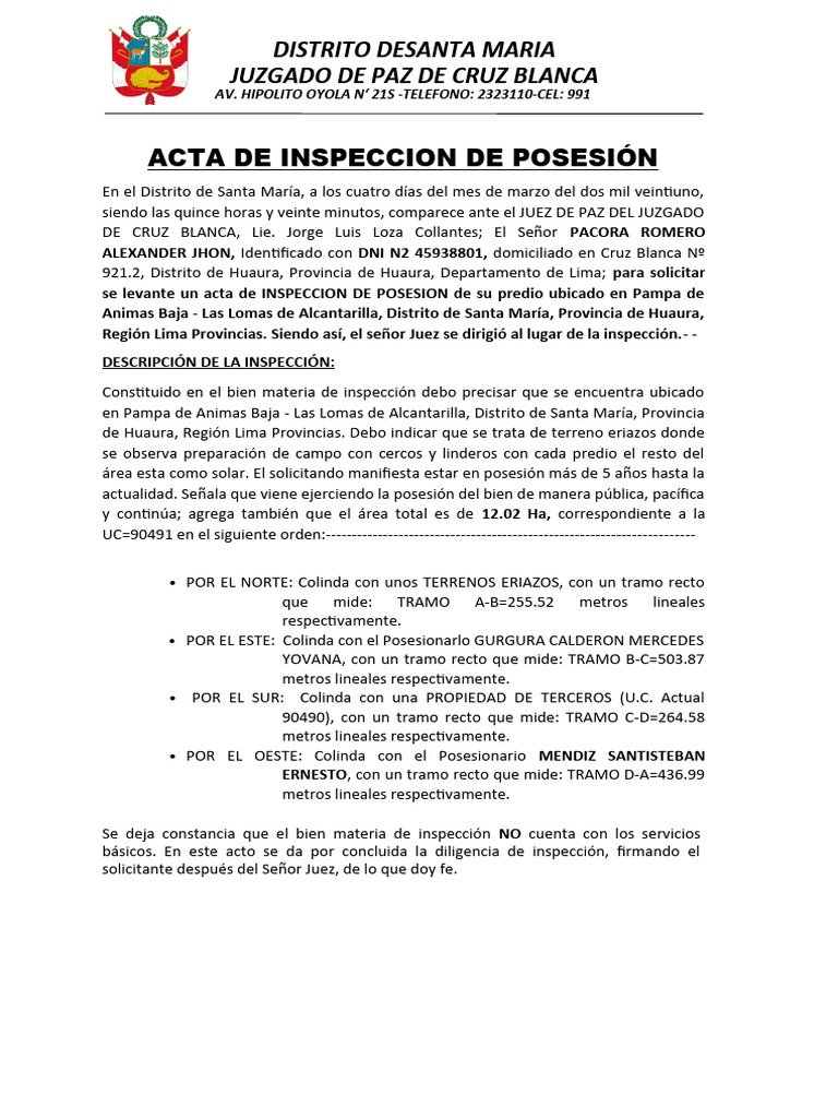 ACTA DE POSESION - PLANO | PDF