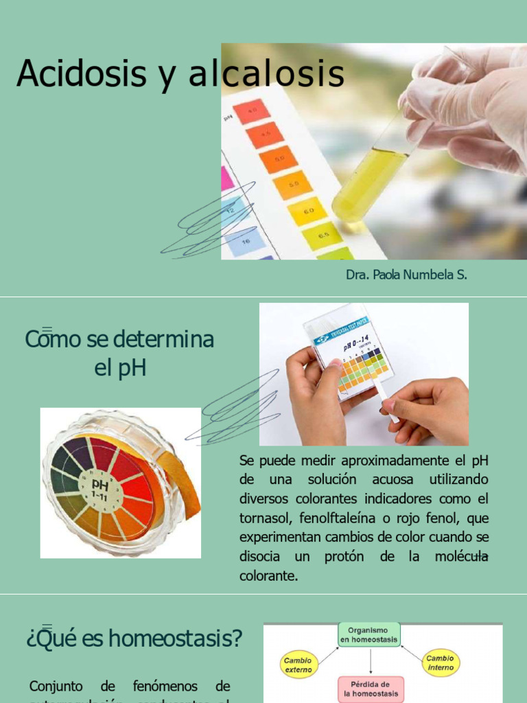 Acidosis y Alcalosis - PPX | PDF | Ph
