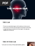 Gr.12 Life Sciences The Ear | PDF | Ear | Auditory System