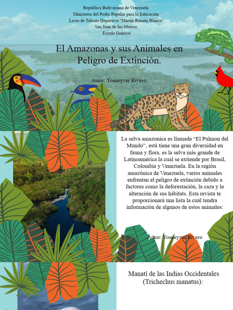 El Amazonas y Sus Animales en Peligro de Extinción (Narizón) - 20240617 ...