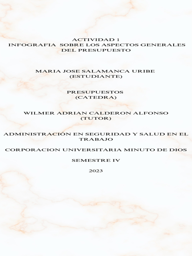 Infografia Actividad 1 Presupuestos | PDF | Presupuesto | Business