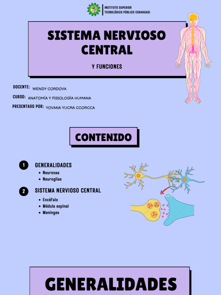 snc | PDF | Cerebro | Sistema nervioso central