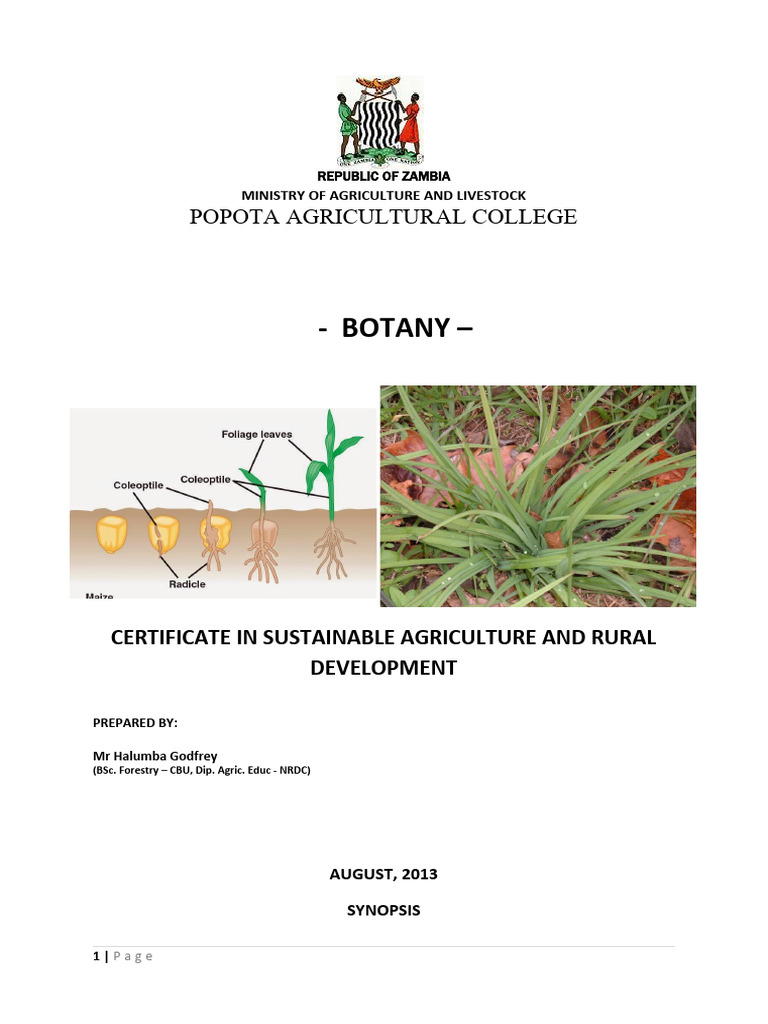 Botany Module | PDF | Leaf | Bacteria