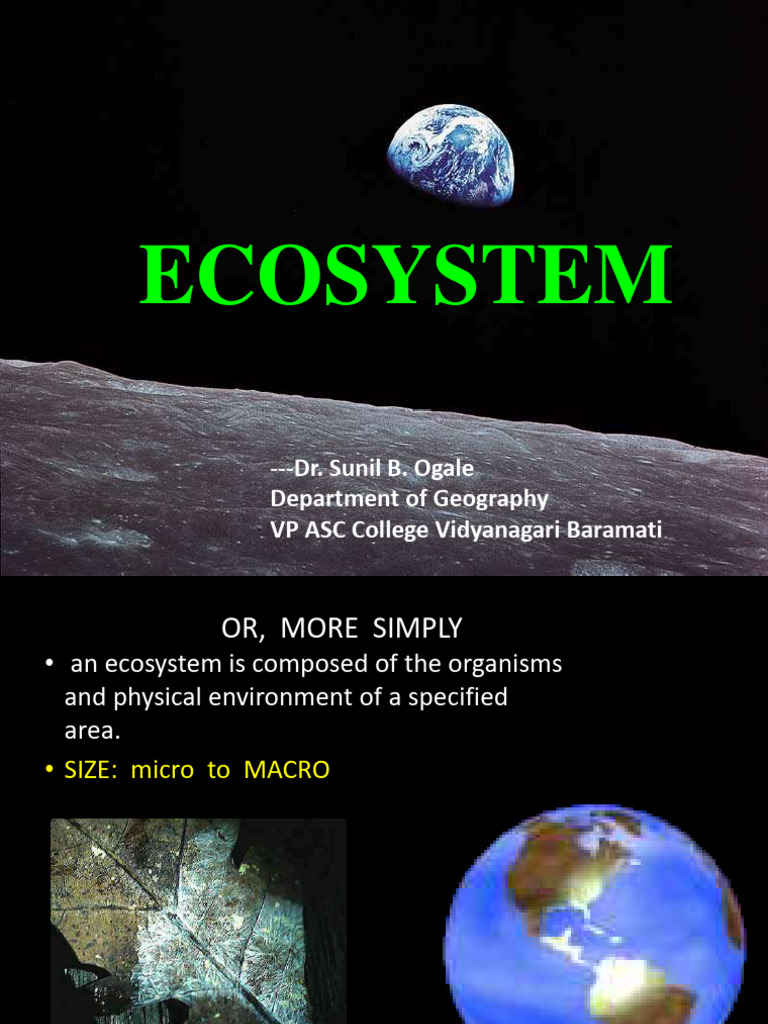 Ecosystem | PDF | Ecosystem | Forests