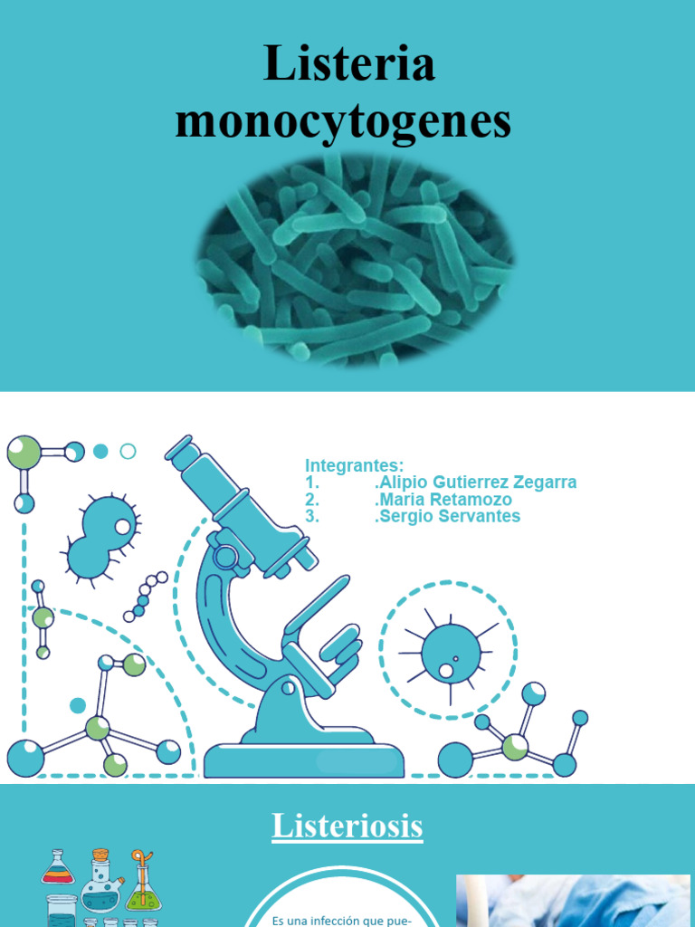Listeria monocytogenes: Diagnóstico y Prevención | PDF | Medicina ...