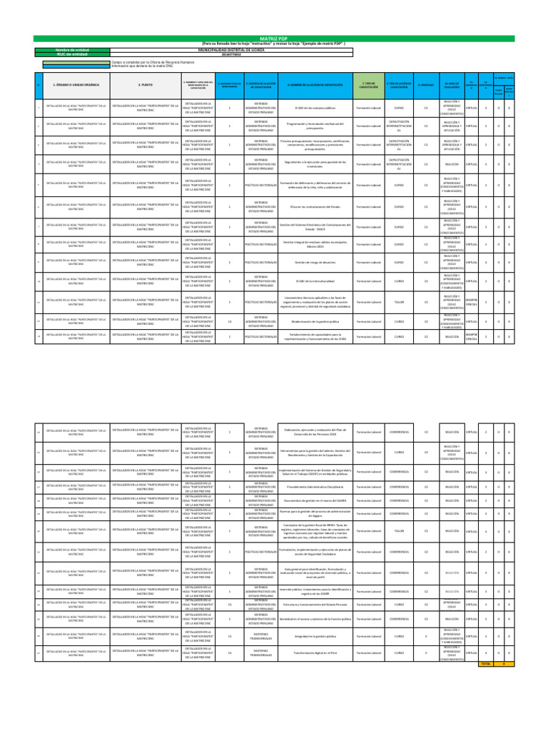 Matriz PDP 2024 Municipalidad Distrital de Uchiza | PDF | Perú