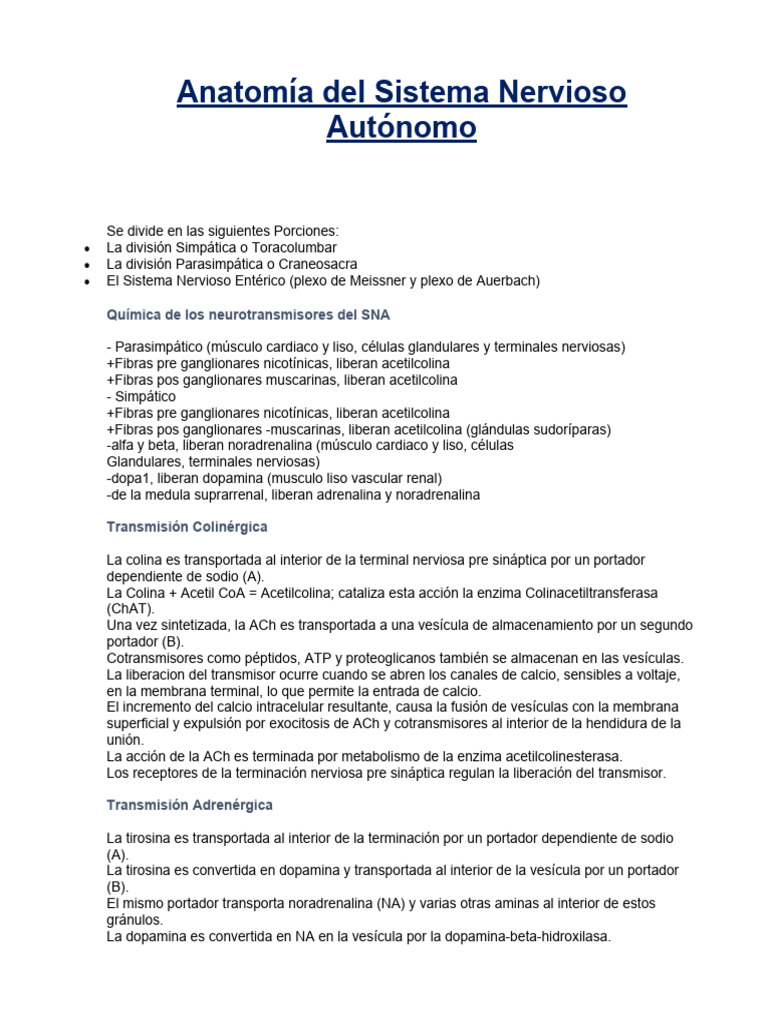 Anatomía del Sistema Nervioso Autónomo word | Descargar gratis PDF | Acetilcolina | Sinapsis