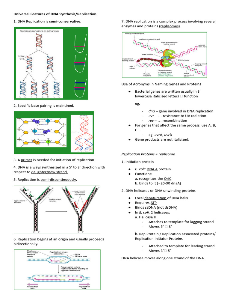 BIO LEC Handouts | Download Free PDF | Dna Replication | Dna