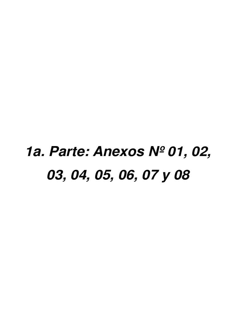 01 Anexos | PDF | Informática