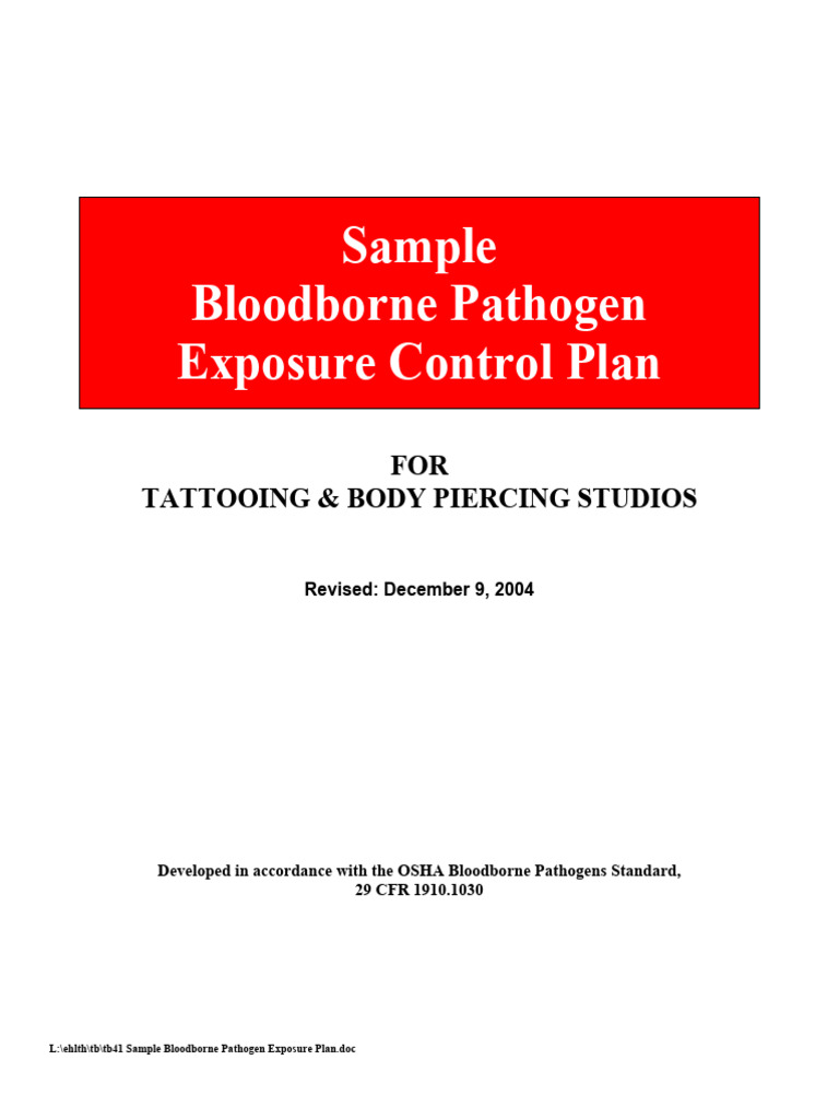 Sample Bloodborne Pathogen Exposure Plan | PDF | Hepatitis B | Personal ...