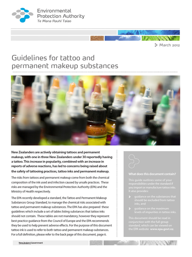 Guidelines Tattoo Permanent Makeup | PDF | Tattoo | Cosmetics