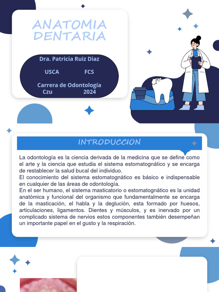 Anatomia Dentaria | Descargar gratis PDF | Diente | Odontología