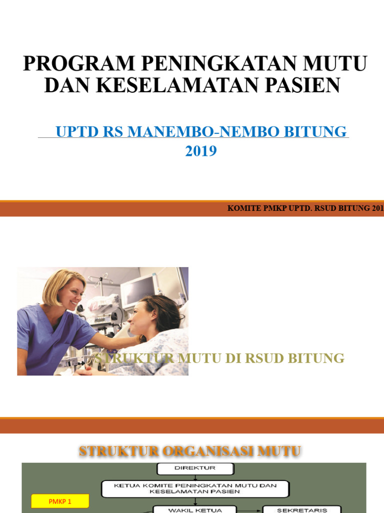 Program Peningkatan Mutu Dan Keselamatan Pasien | PDF