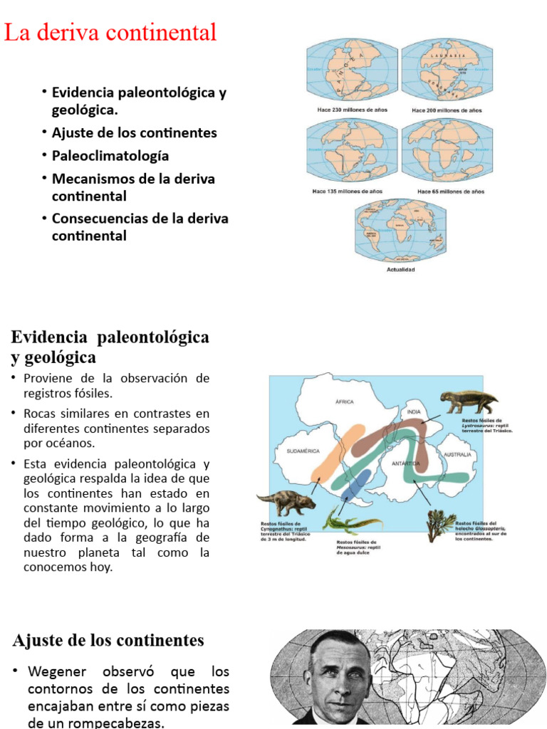 La Deriva Continental | PDF | Ciencia y matemáticas | Historia
