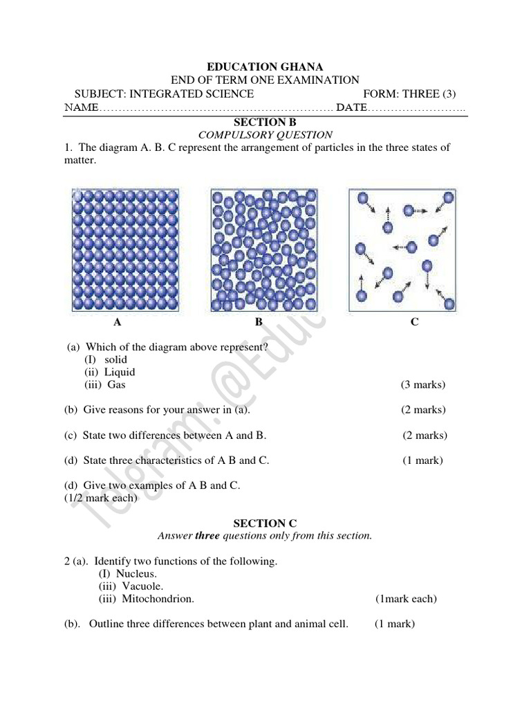 Science Jhs 1 Pdf Gases Cell Biology