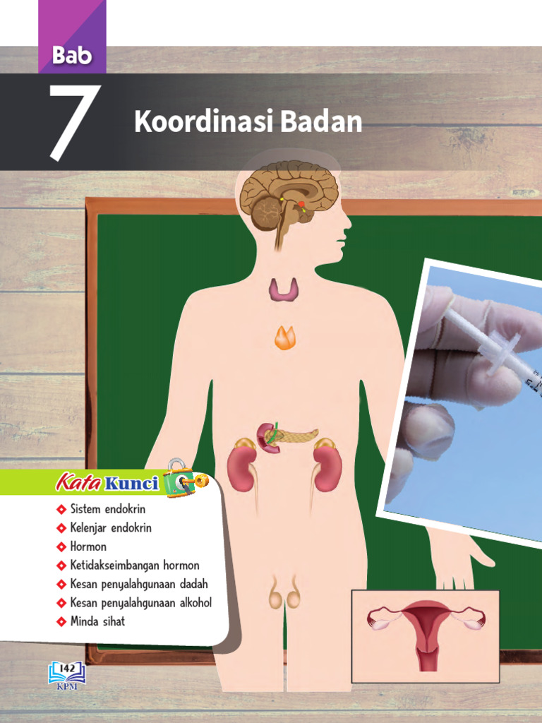 Bab 7 BT Sains T4 | PDF