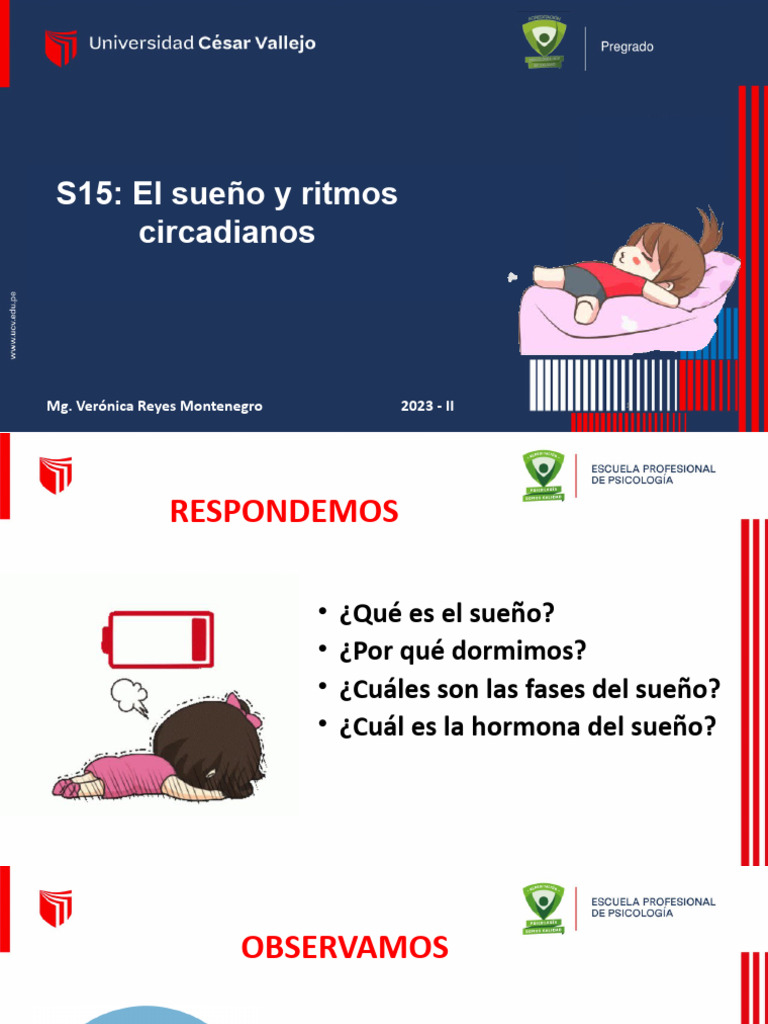 Sueño y Ritmos Circadianos Explicados | PDF | Dormir | Ritmo circadiano